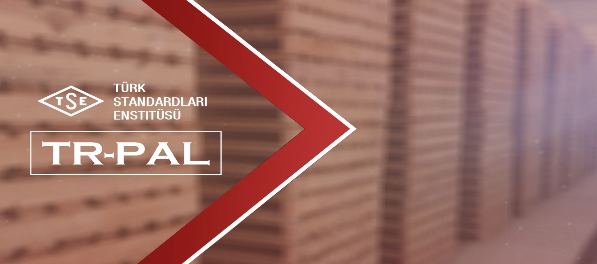 files.tse.org.tr - /2024/05/