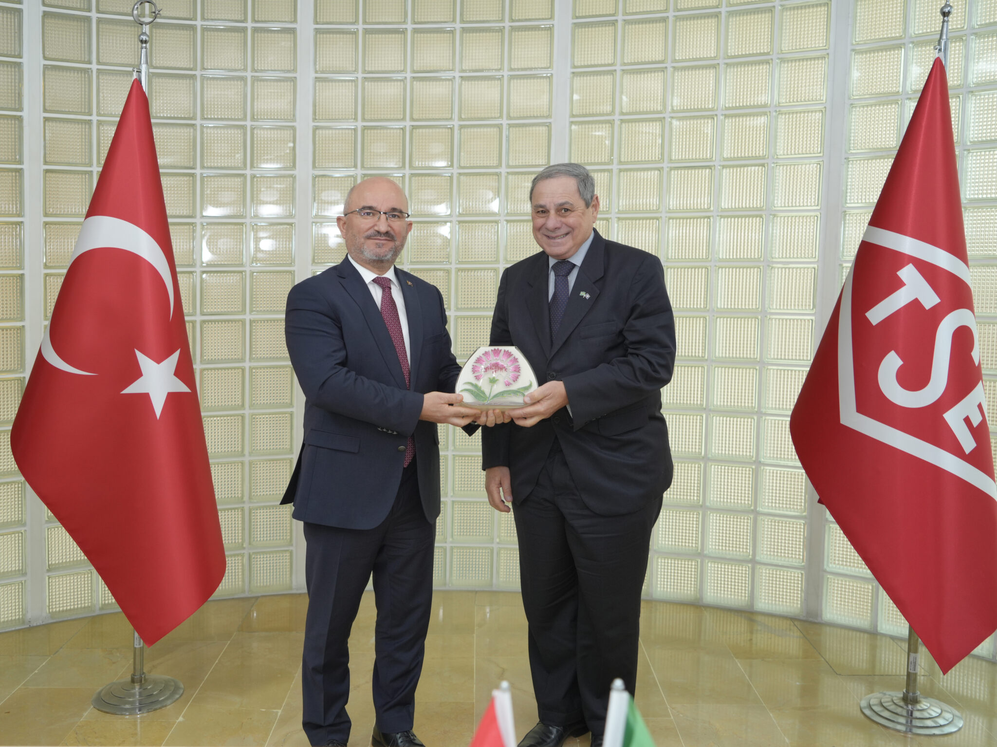 TSE - Türk Standartları Enstitüsü